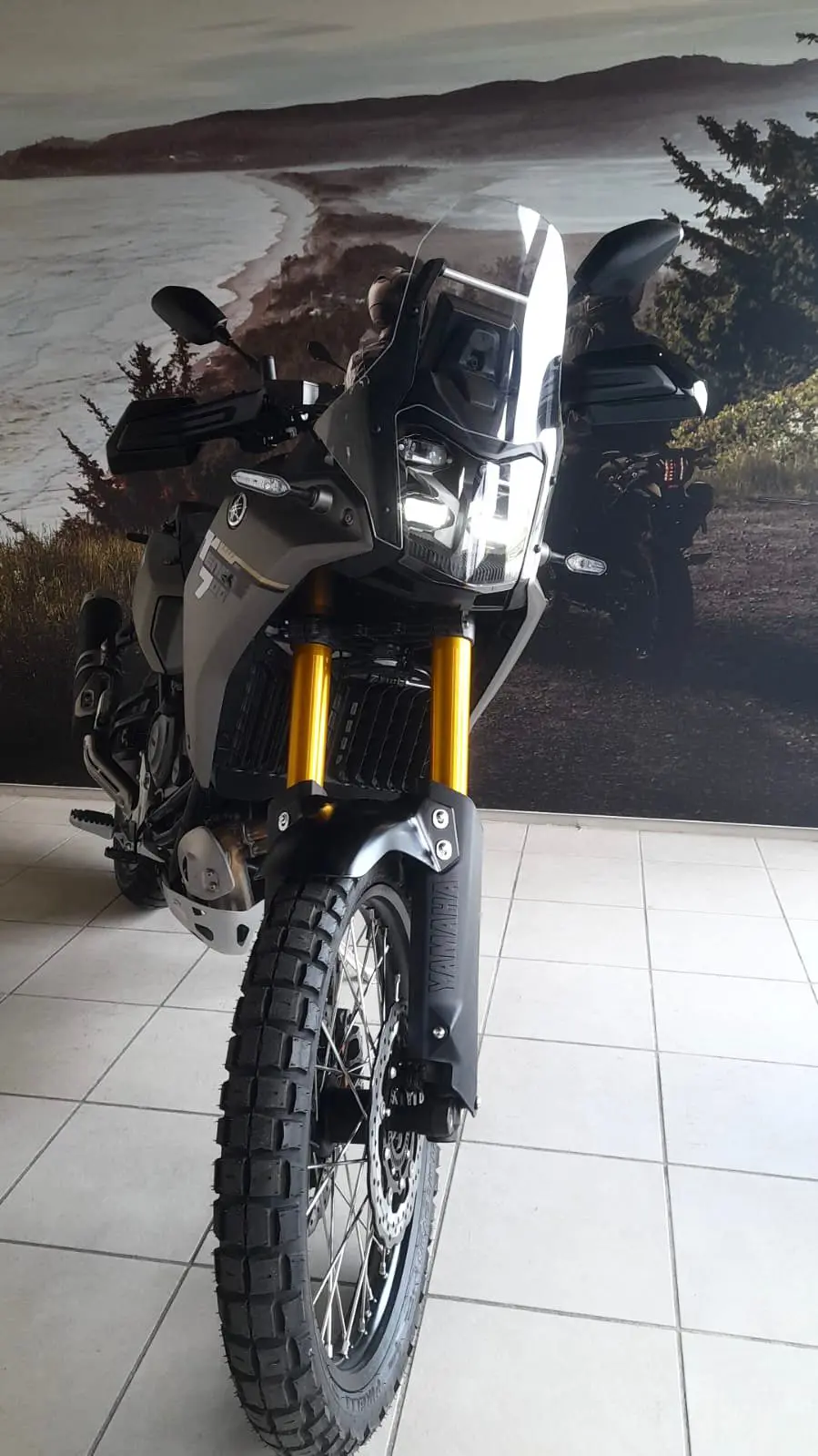 Yamaha T?n?r? 700 tech kamo usata disponibile a PG