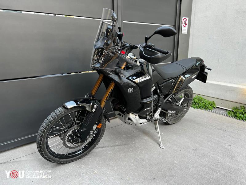 Yamaha T n r 700 World Raid usato - Yamaha-Motor Europe N.V. Filiale Italia
